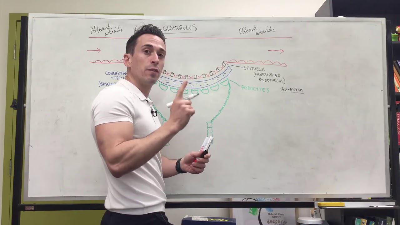 Dr Matt & Dr Mike's Medical YouTube (podcast) - Dr. Mike Todorovic ...