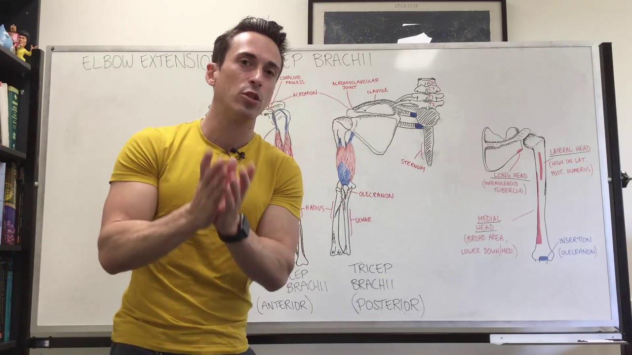 Dr Matt & Dr Mike's Medical YouTube (podcast) - Dr. Mike Todorovic ...