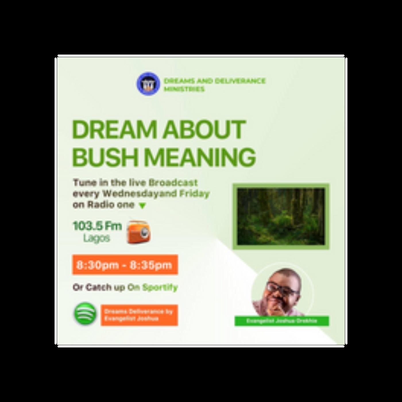 Prayer Against Snake in the Dream - Dreams Deliverance by Evangelist ...