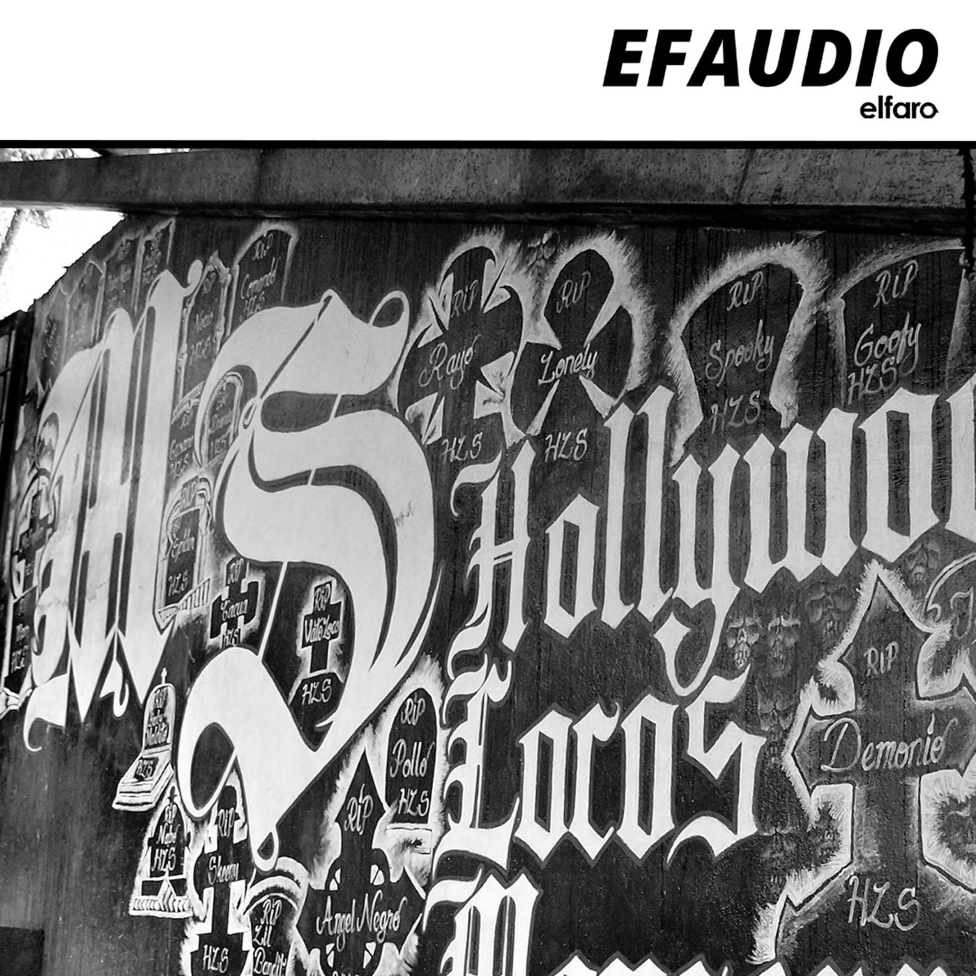 MS-13 Leader “Crook” Asked for More Time to Plead His Case in U.S ...