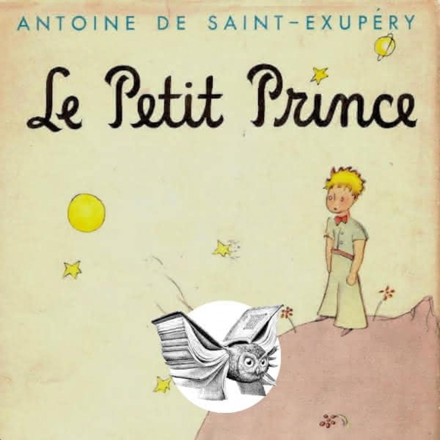 El principito - Capítulo 24 | Audiolibros en castellano | Listen Notes