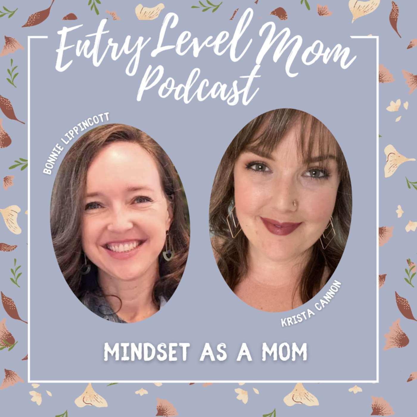 Episode 35: Holistic Lifestyle - Entry Level Mom Podcast | Listen Notes