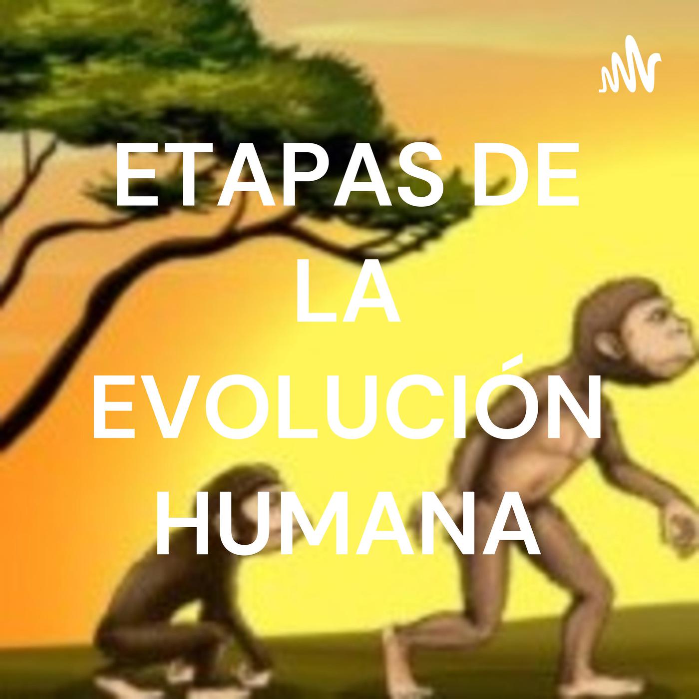 ETAPAS DE LA EVOLUCIÓN HUMANA - ETAPAS DE LA EVOLUCIÓN HUMANA (podcast ...
