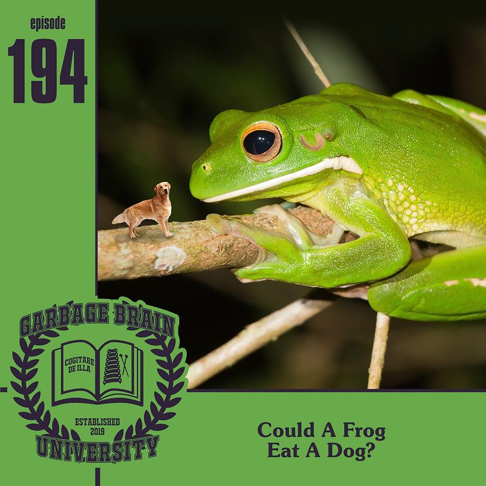 GBU 194: Could A Frog Eat A Dog? - The Great Mistake, by Garbage Brain ...