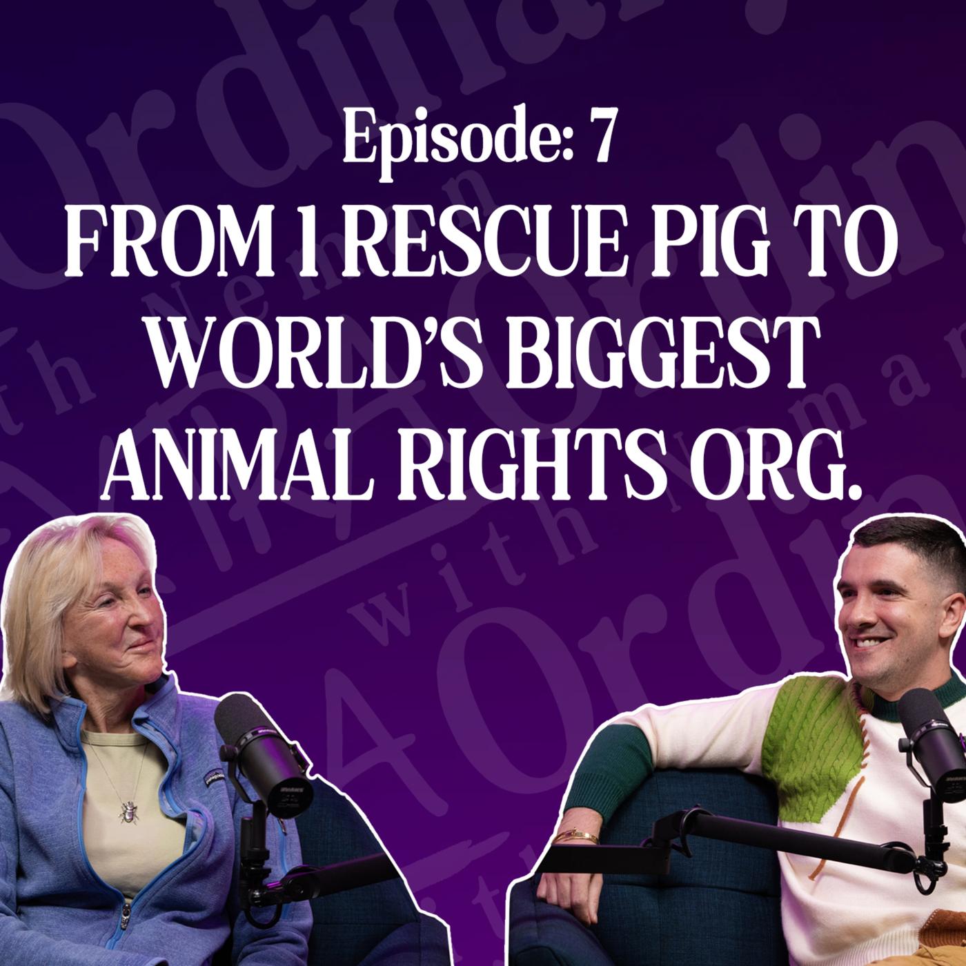 Erica Camp, Founder of Second Hen'd on "Extraordinary with Neman ...