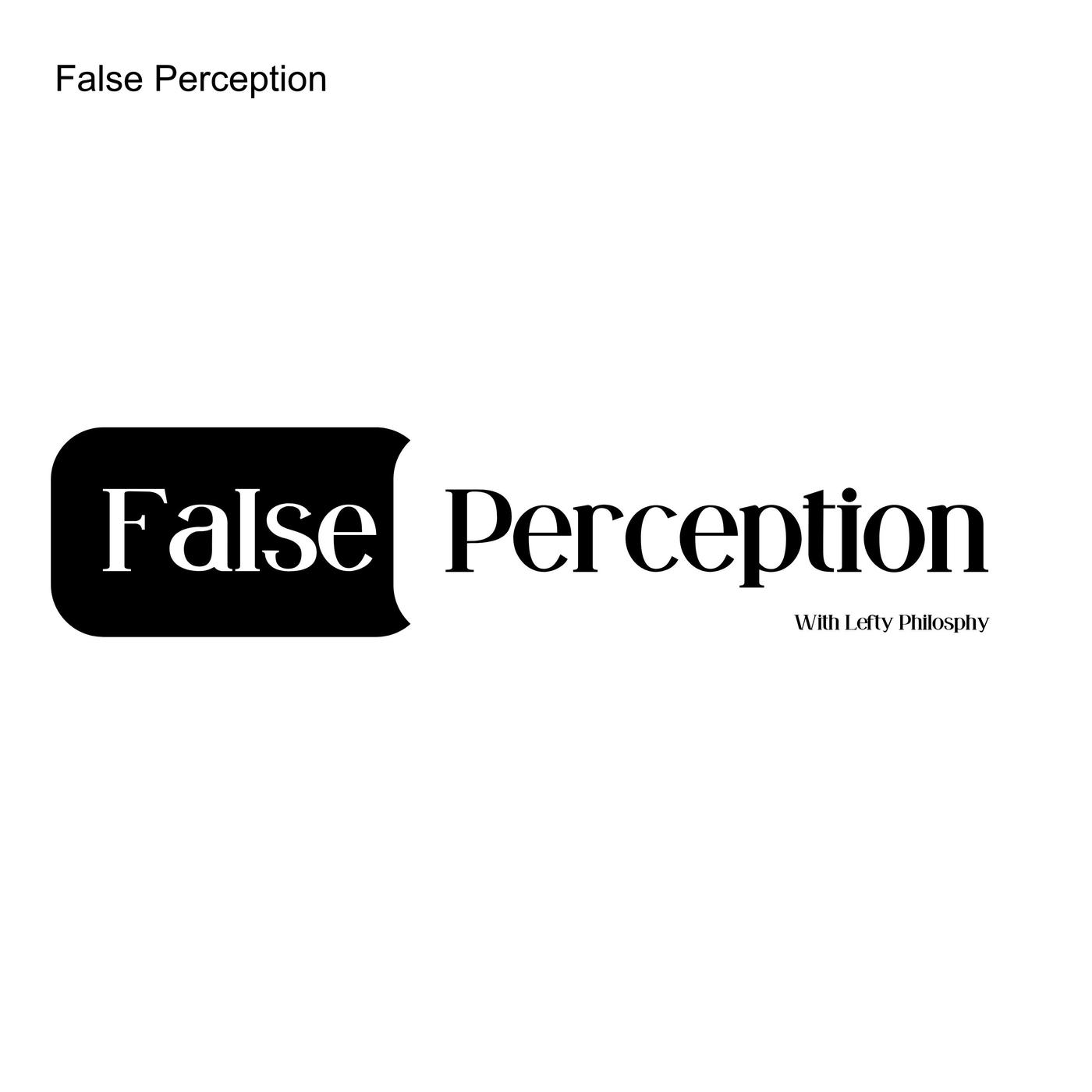 Who Are You? Questions About Identity - False Perception with Lefty ...