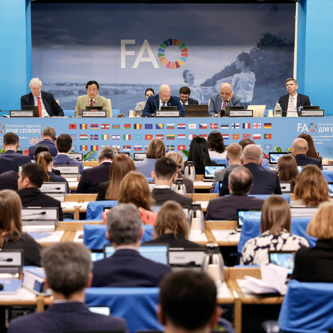 FAO Brief - 20 May 2024 - FAO Podcasts | Listen Notes
