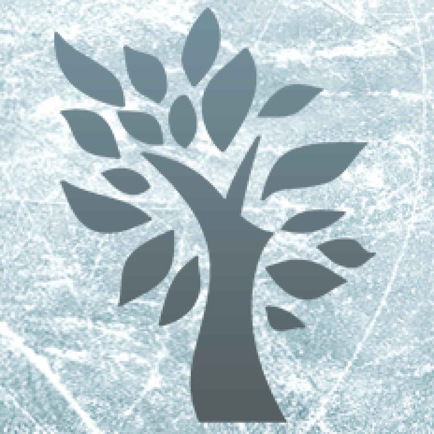 FBCBF Sermons (podcast) - First Baptist Church of Bosque Farms | Listen ...