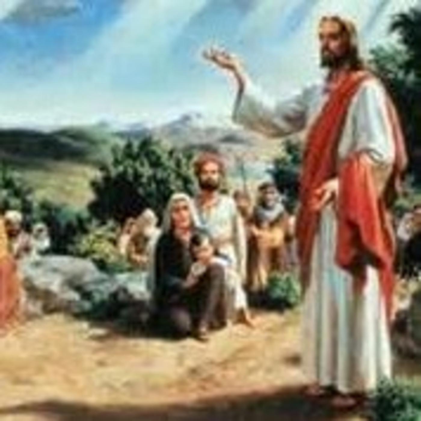 The Parable of The Sower (Matthew 13:19-23) - Devotional #2! | Listen Notes