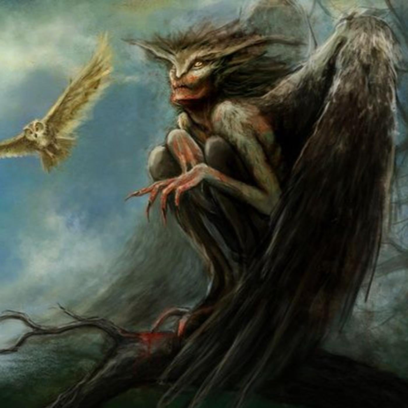 The Strix - The ill Omen & Man-eating Bird Of The Woods (Strzyga Striga ...