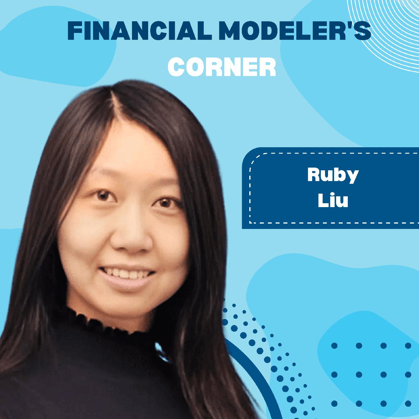 Financial Modeler's Corner (podcast) - Paul Barnhurst AKA The FP&A Guy ...