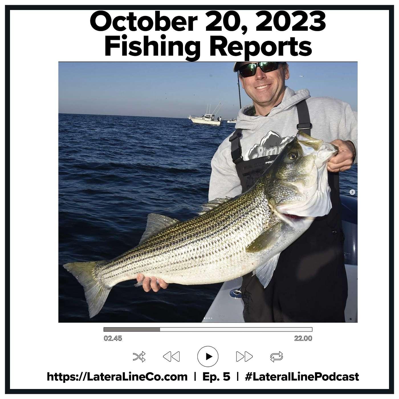 Fishing Reports: East Coast and Chesapeake Bay Saltwater Fishing ...