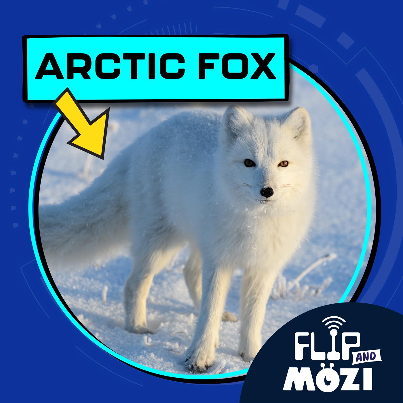 How To Be An EarthSING: Mix Tape #1 (2/23/23) - Flip and Mozi (podcast ...