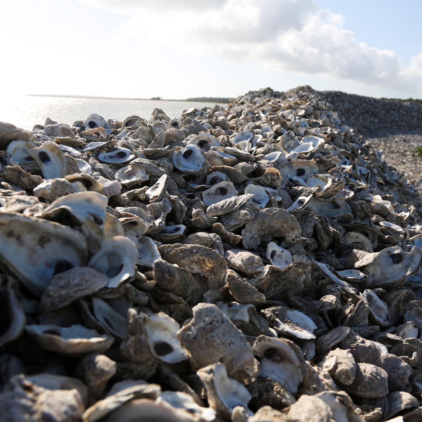 Plant City Detective Mark Holste - Floridian Magazine (podcast ...