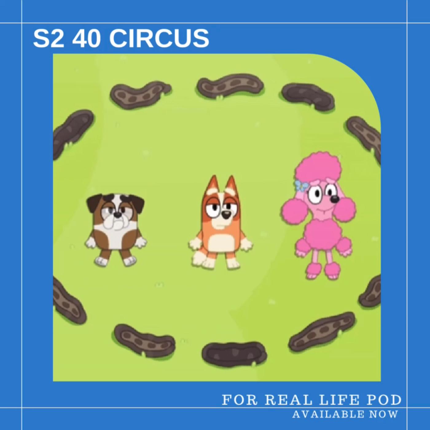 Circus (a case for democracy sausages) - For Real Life Pod - Bluey ...