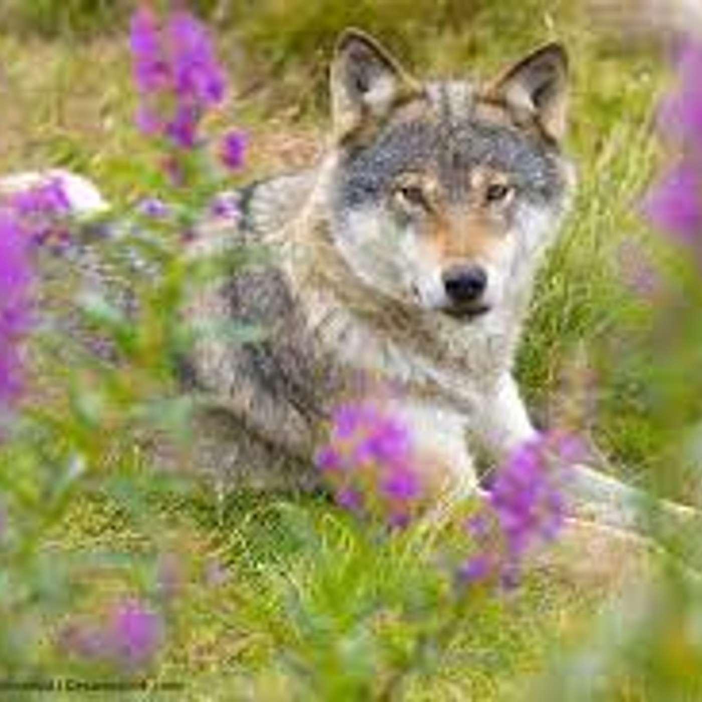 Homily for the Fourth Sunday of Lent - Be In Right Relationship with ...