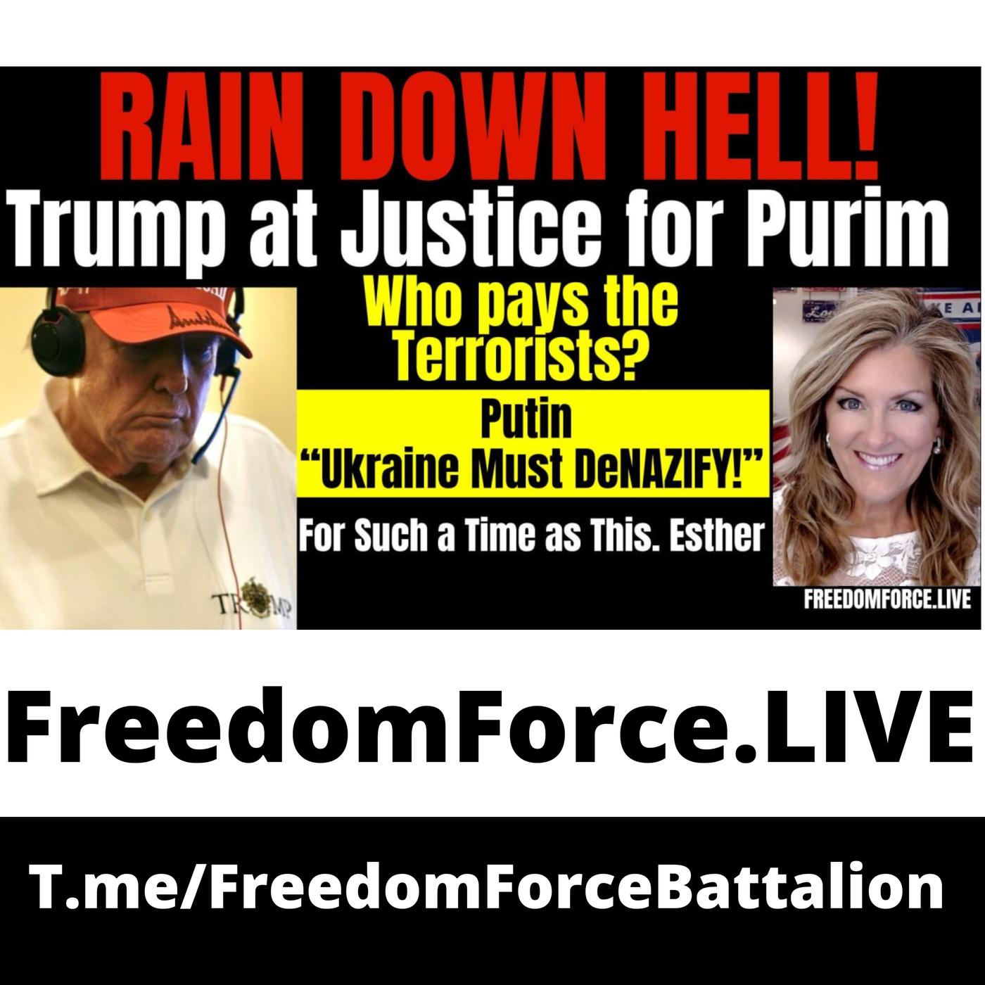 Freedom Force Battalion (podcast) - Melissa Redpill The World | Listen ...