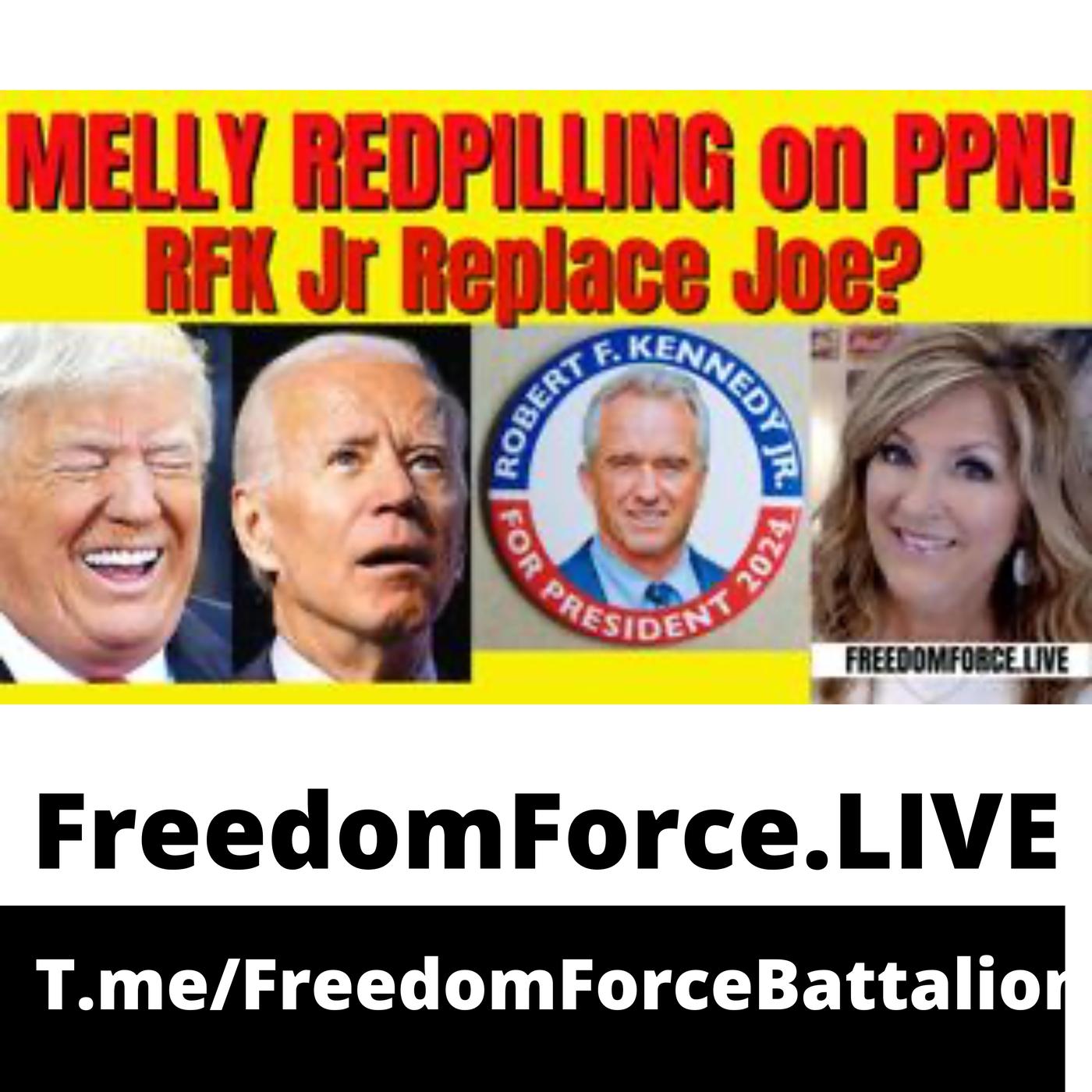 Freedom Force Battalion (podcast) - Melissa Redpill The World | Listen ...