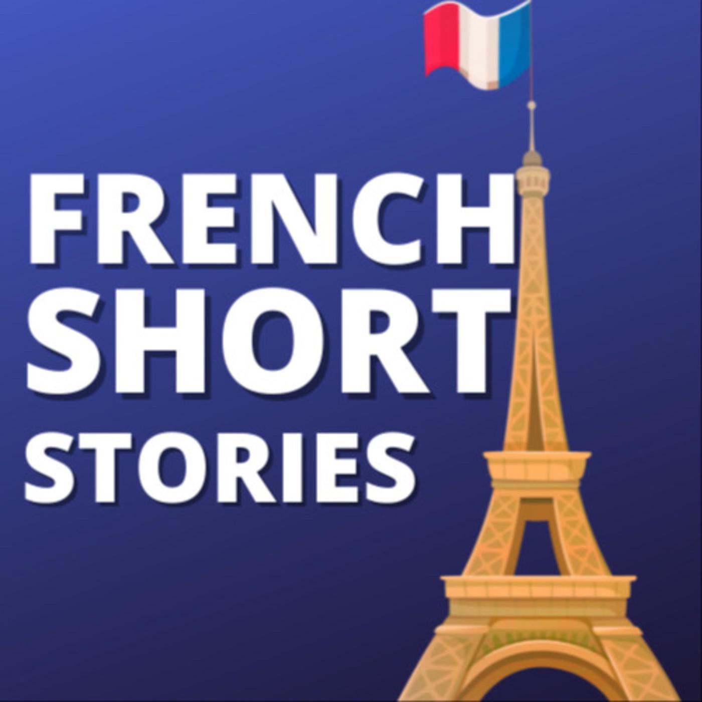 French Short Stories: Daily short stories in french for intermediate ...