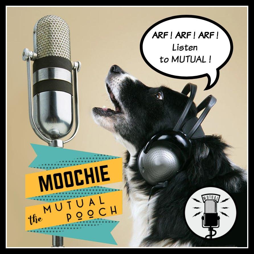 Friday Follies, May 31st, 2024 - Friday Follies (podcast) | Listen Notes