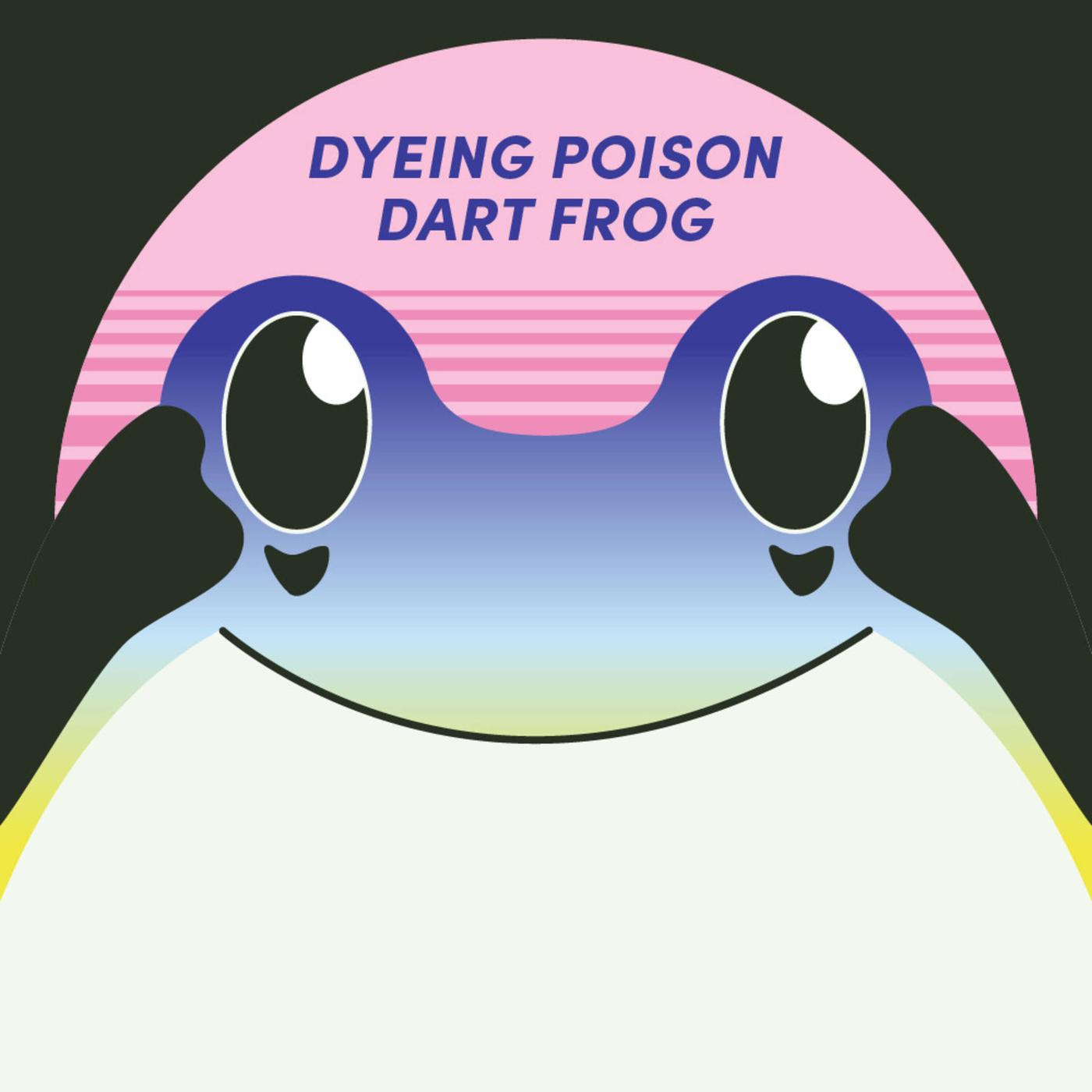 Spotted Poison Frog | Week of Dartch 27th - Frog of the Week (podcast ...