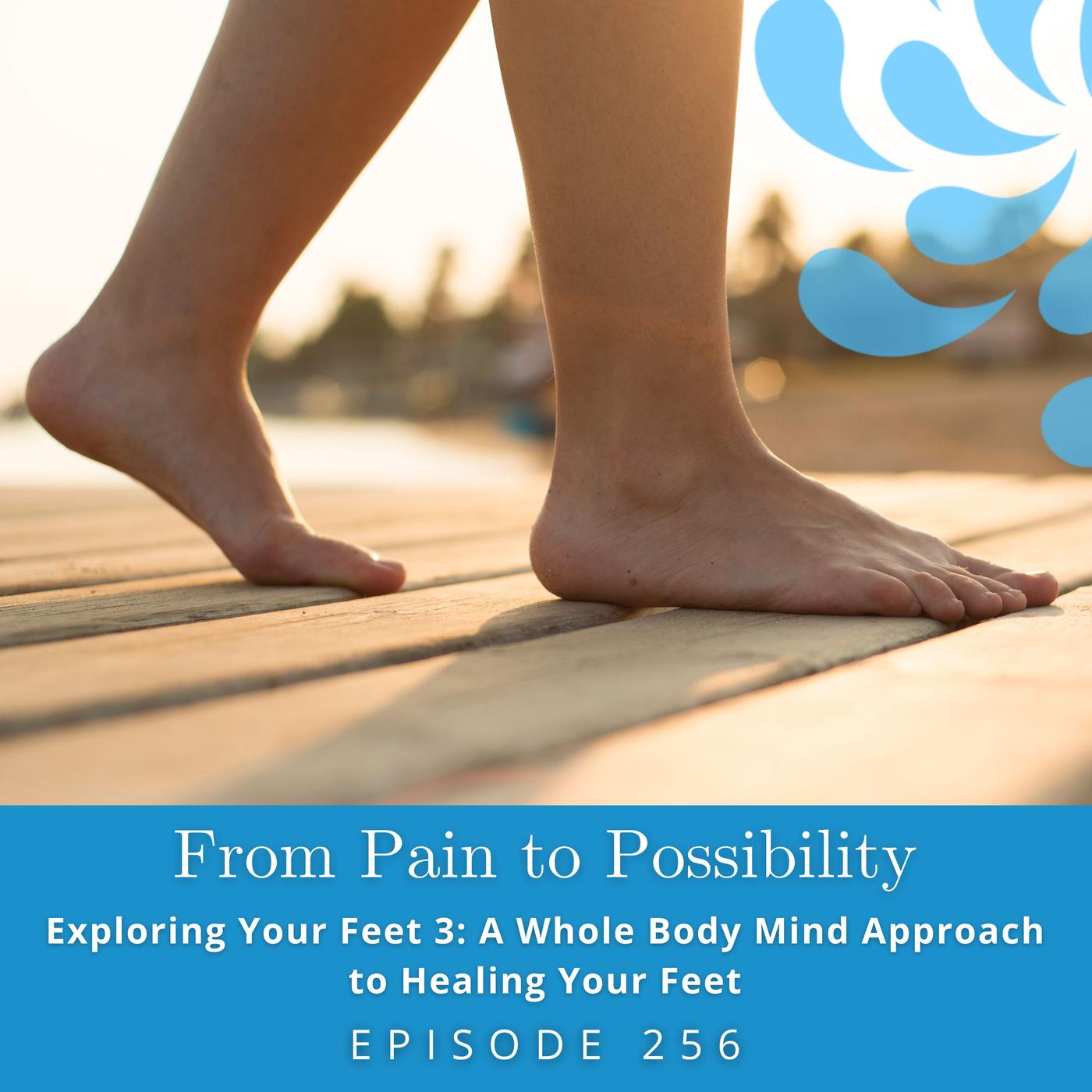 Exploring Your Feet 3: A Whole Body Mind Approach to Healing Your Feet ...