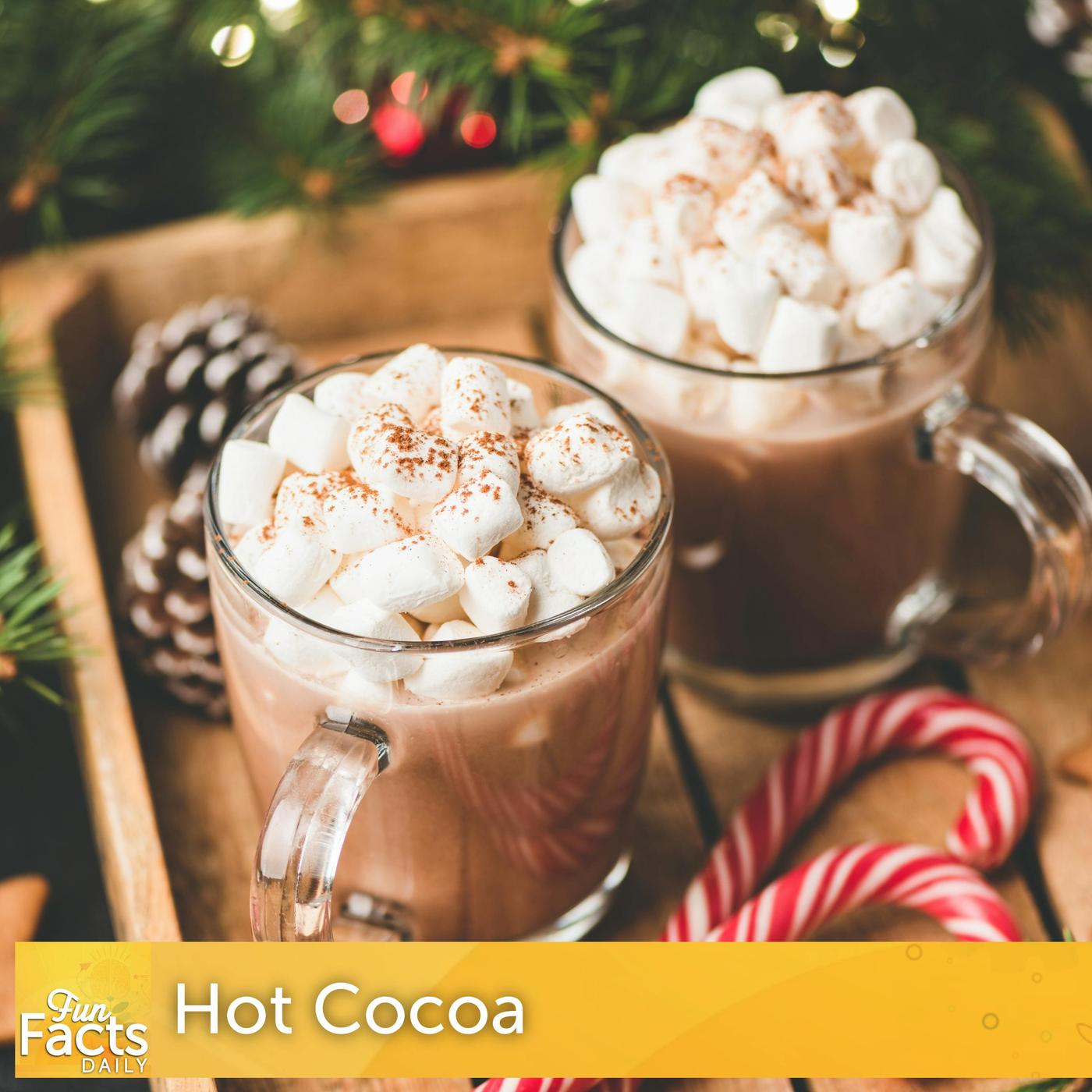 Fun Facts About Hot Cocoa - Fun Facts Daily (podcast) | Listen Notes