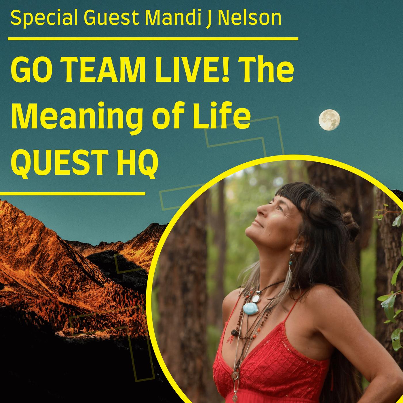 GO TEAM LIVE The Meaning of Life QUEST HQ with Ricky Embleton | Listen ...