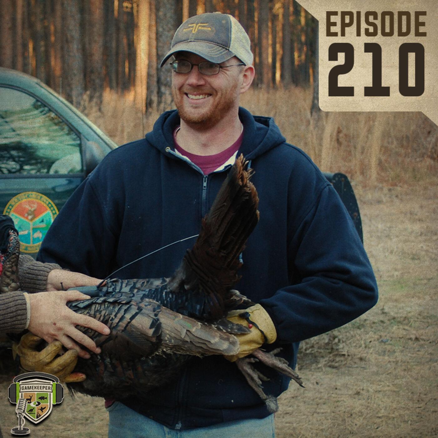 EP:210 | Dr. Bret Collier Talks Nesting, Gobbling and Long Beards ...