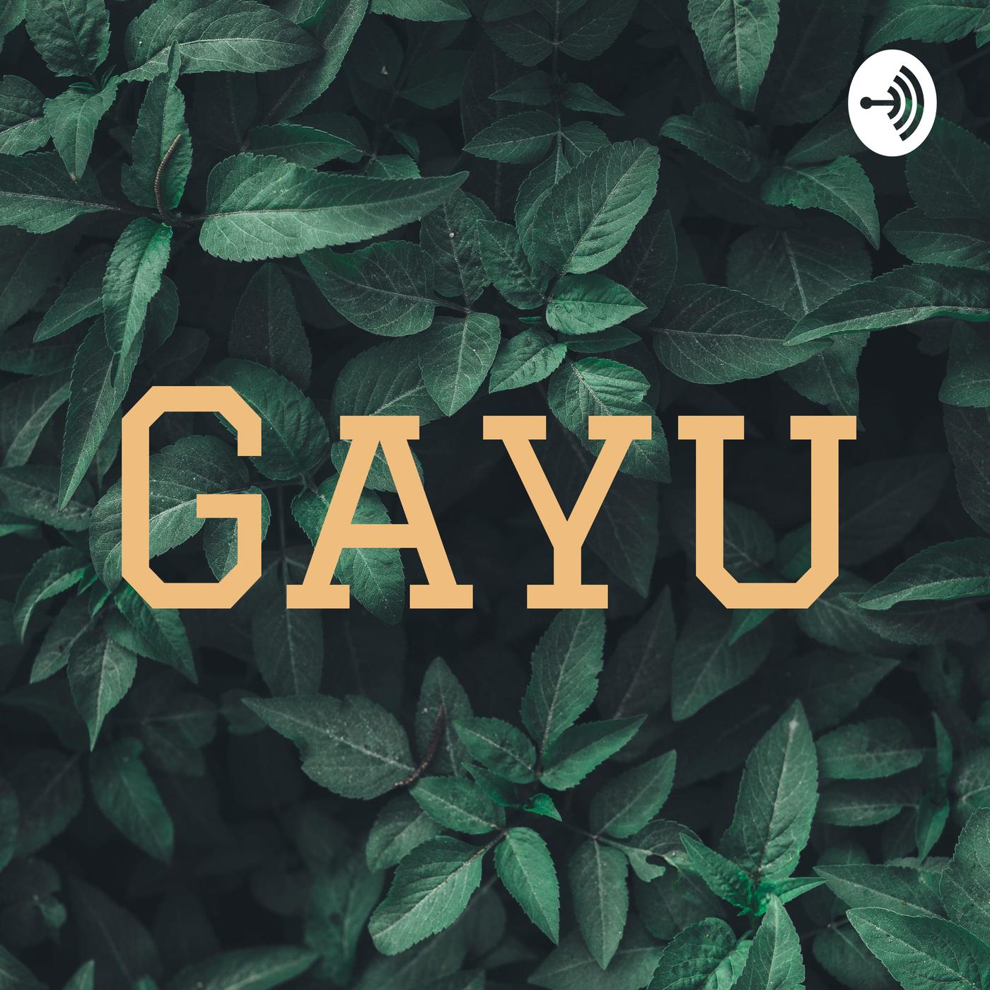 Gayu (podcast) - gayathri thiru | Listen Notes