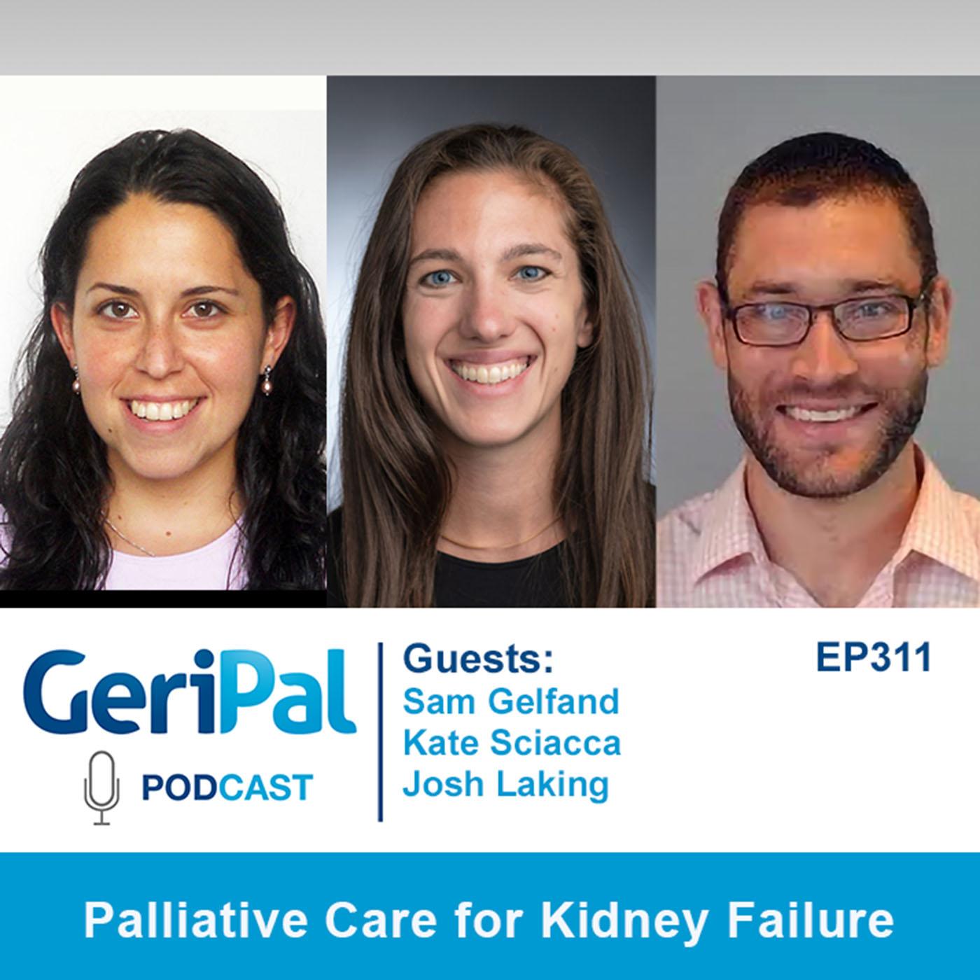 Palliative Care for Kidney Failure: Sam Gelfand, Kate Sciacca, and Josh ...