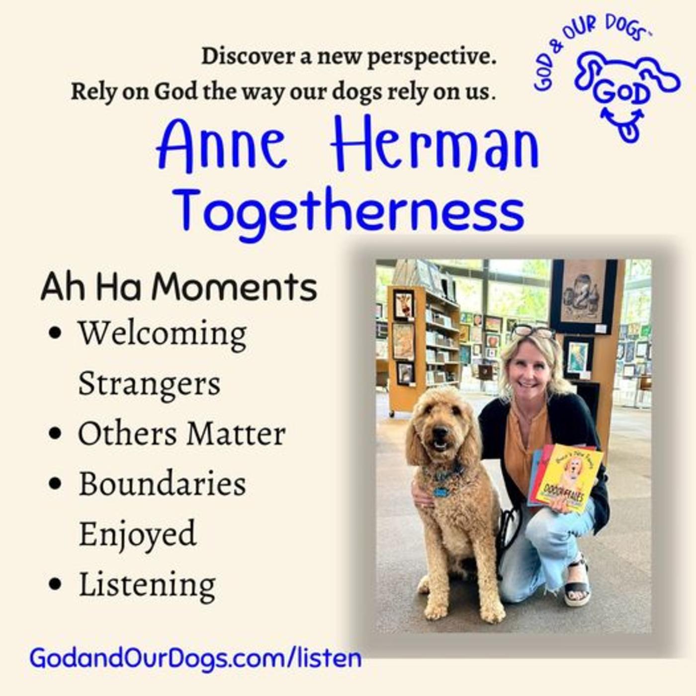 God and Our Dogs with Meg Grier - #341 - Judith Rivers | Listen Notes