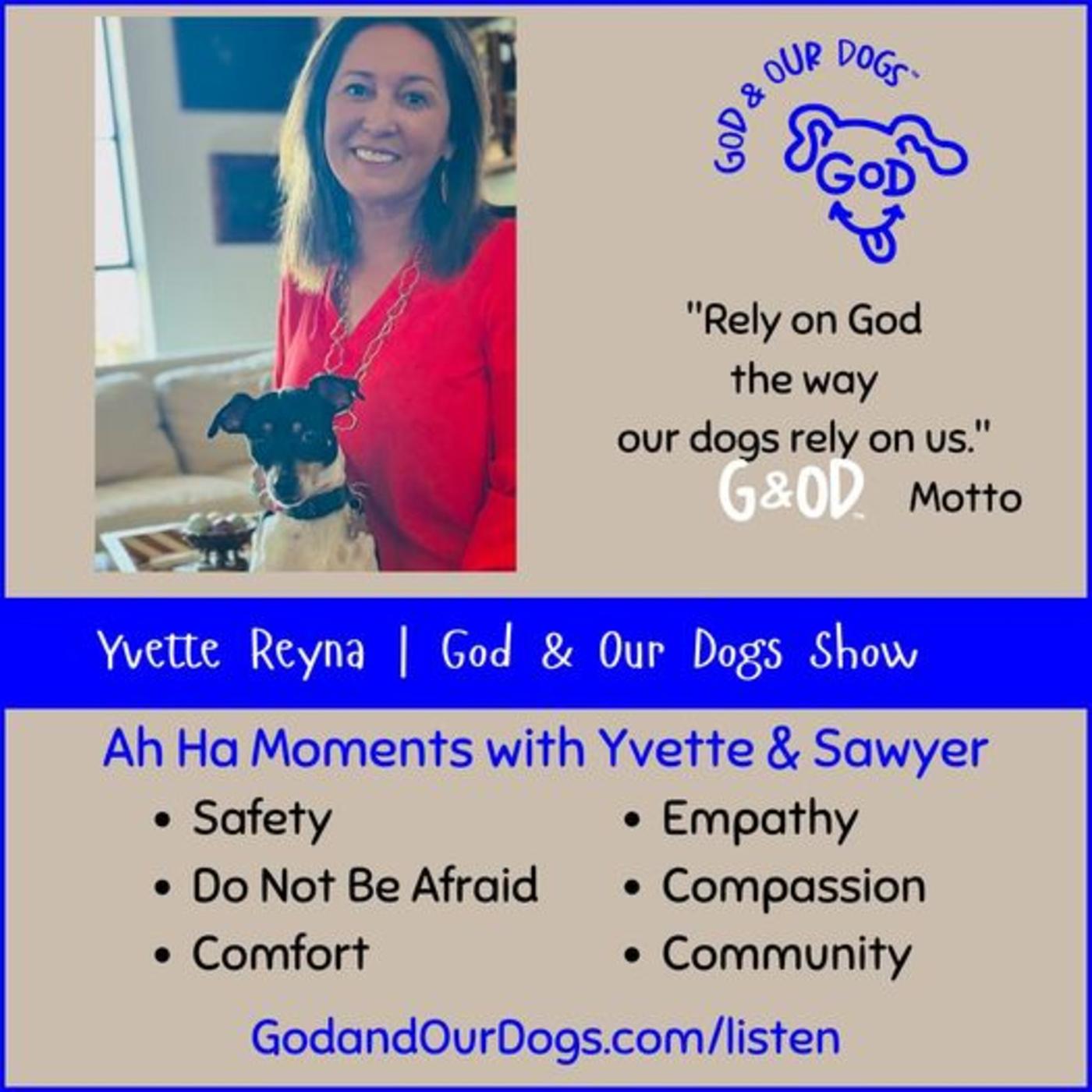 God and Our Dogs with Meg Grier - #341 - Judith Rivers | Listen Notes