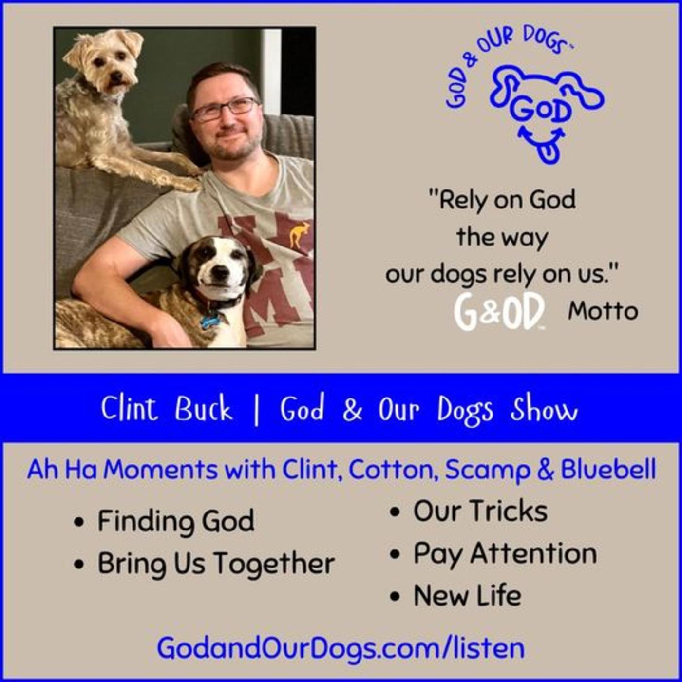 God and Our Dogs with Meg Grier - #341 - Judith Rivers | Listen Notes