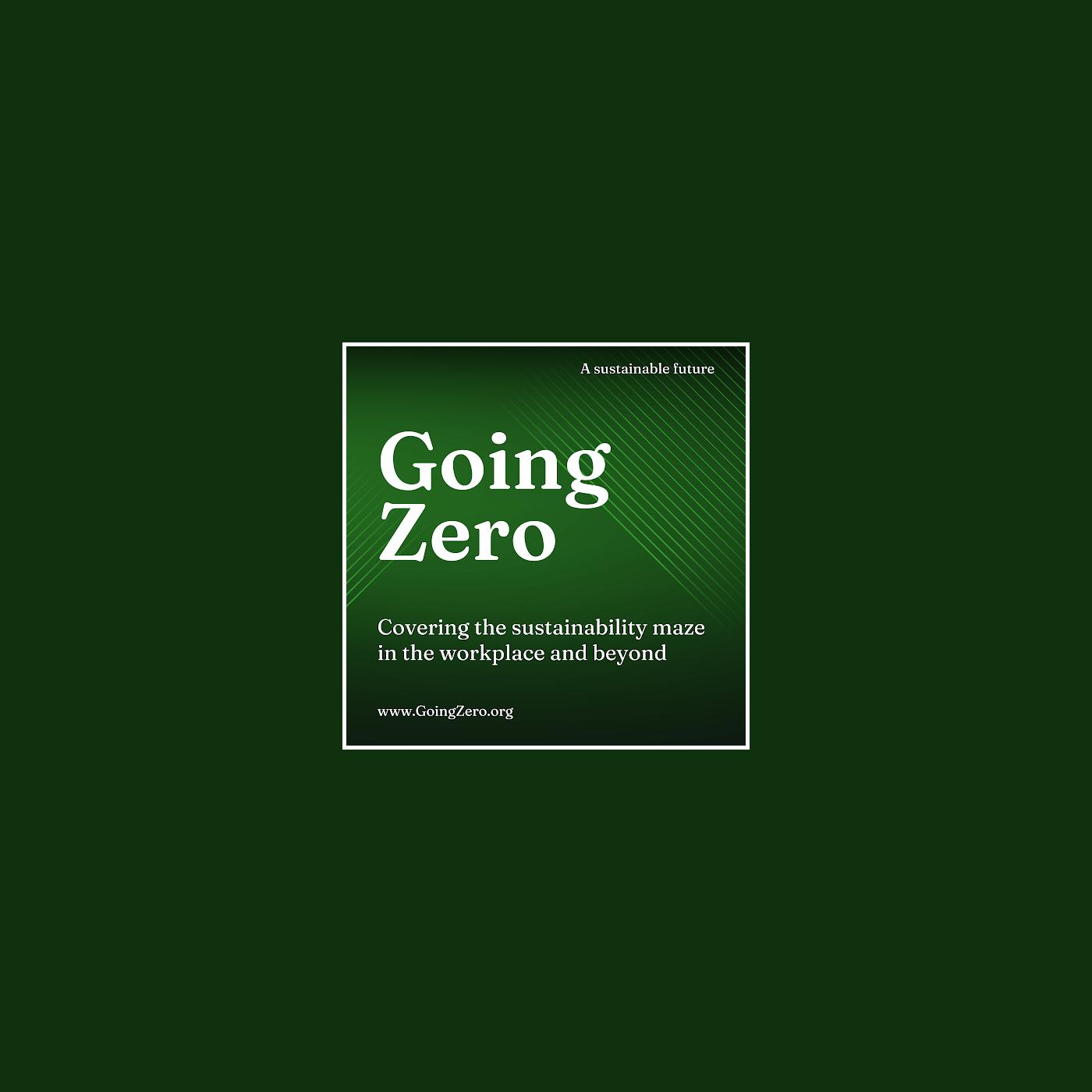Going Zero (podcast) - Seth Combs, & Eric Pasewalk | Listen Notes