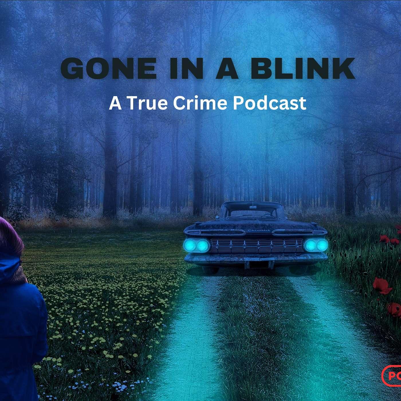 The Disappearance of Missing Mom, Katie Ferguson - Gone in a Blink ...