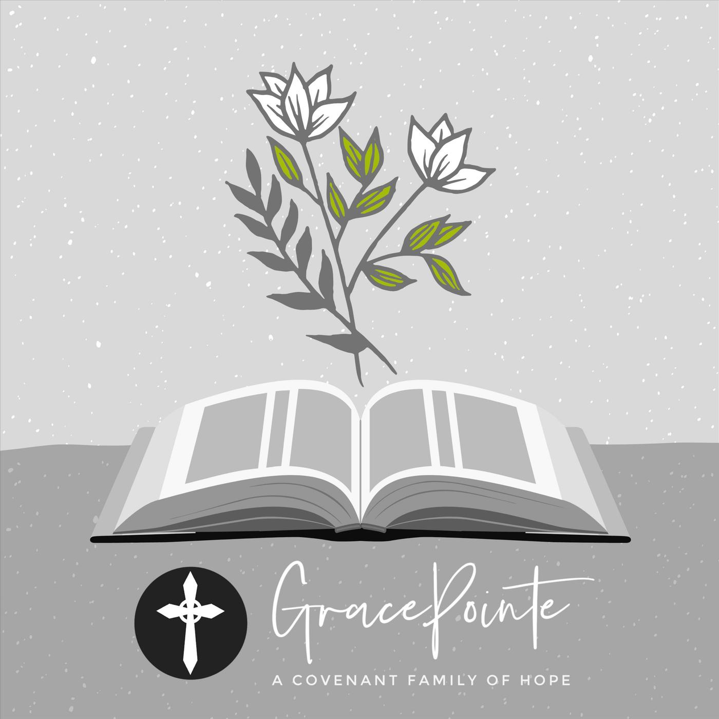 The Story of God: Intro to Revelation - GracePointe Forsyth (podcast ...