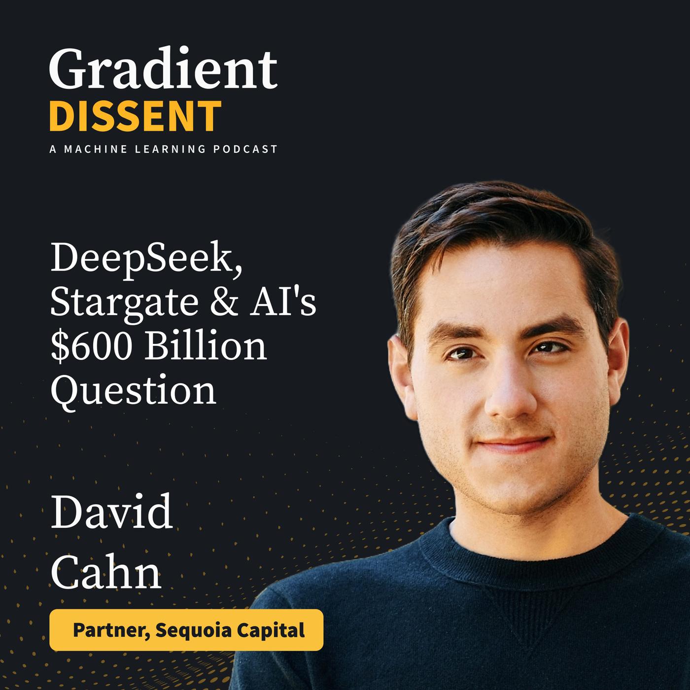 DeepSeek, Stargate and AI's $600 Billion Question with Sequoia's David ...