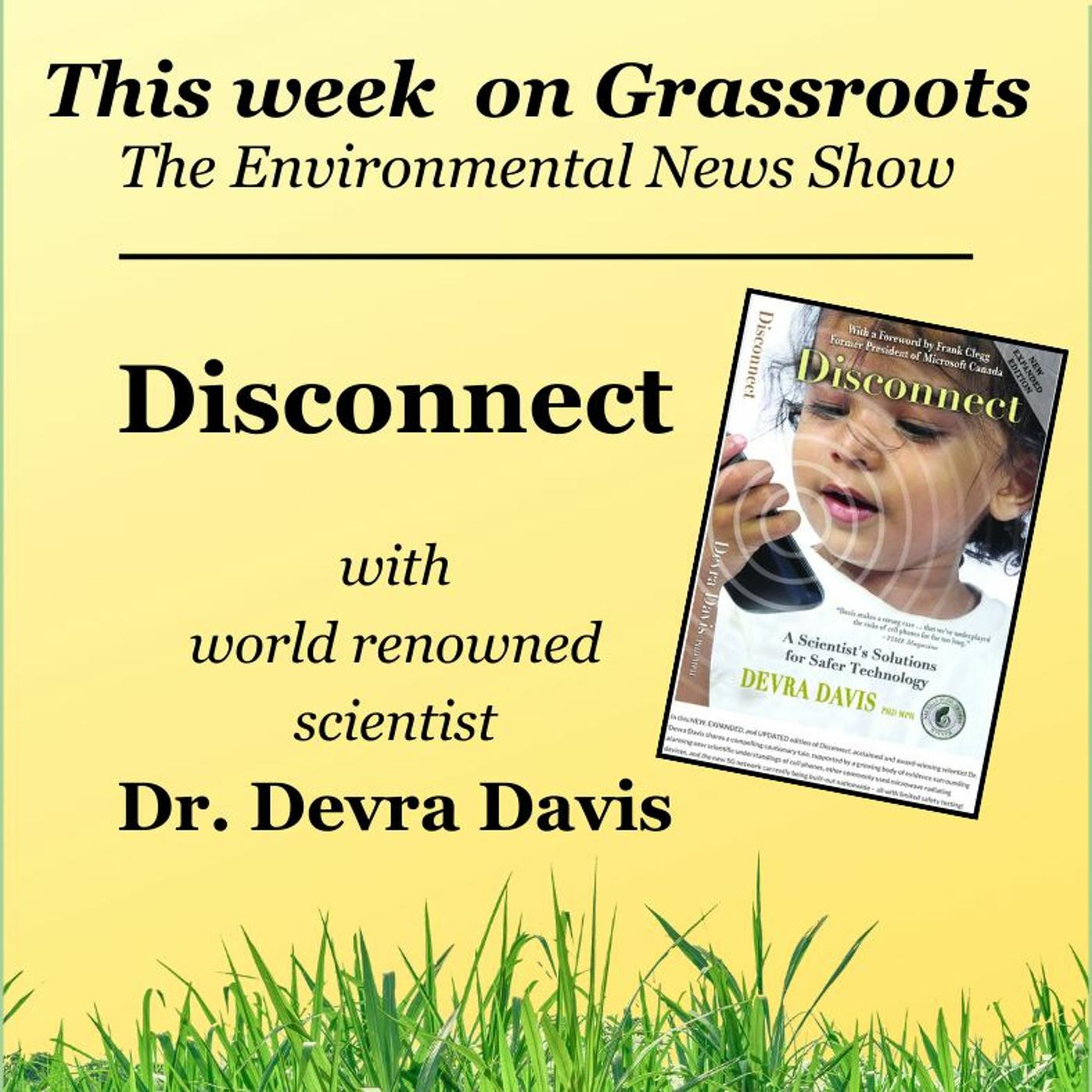 Beware What You Wear with Alden Wicker - Grassroots with Patti & Doug ...