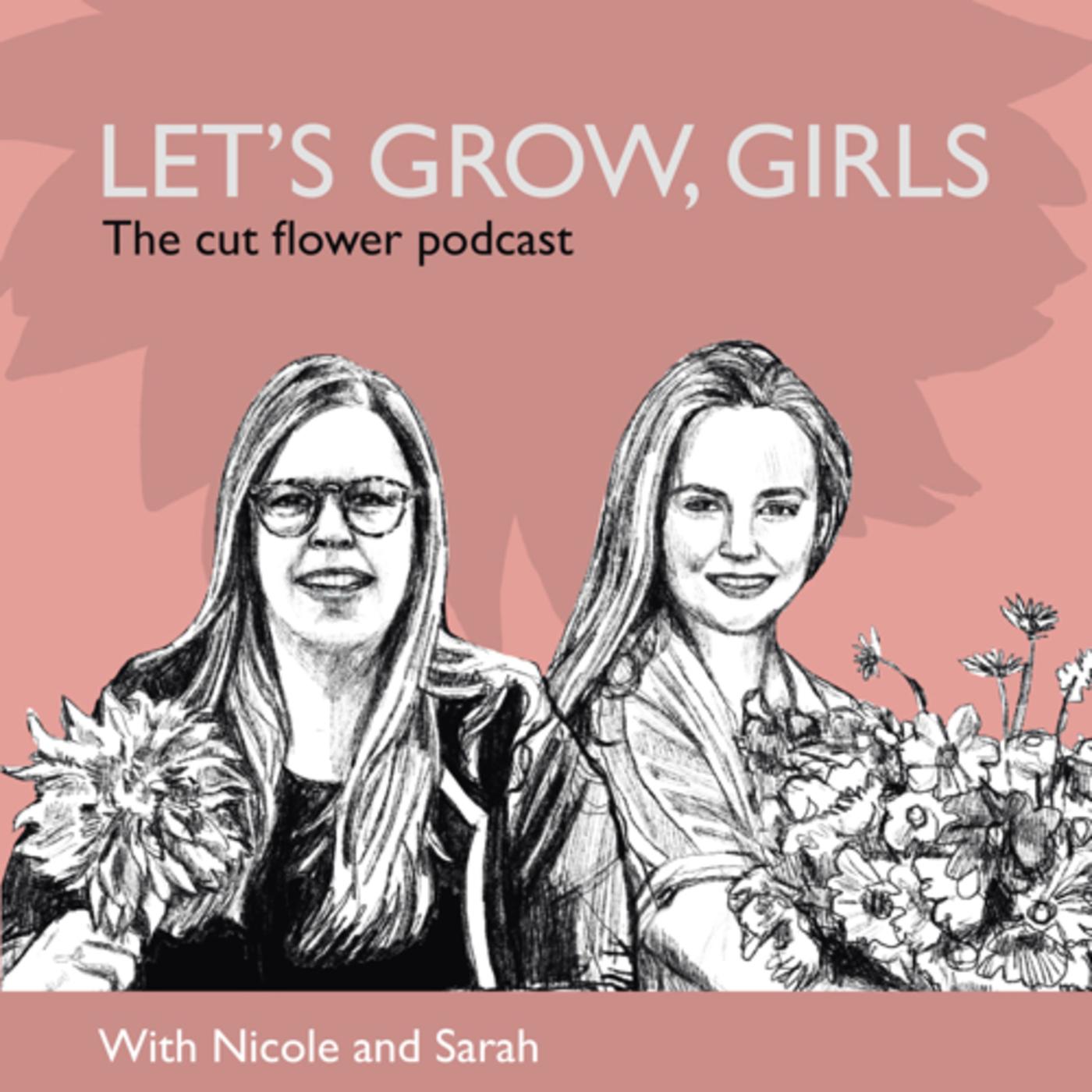 How To Grow Bare Root Roses with Becki from David Austin Roses | Listen ...