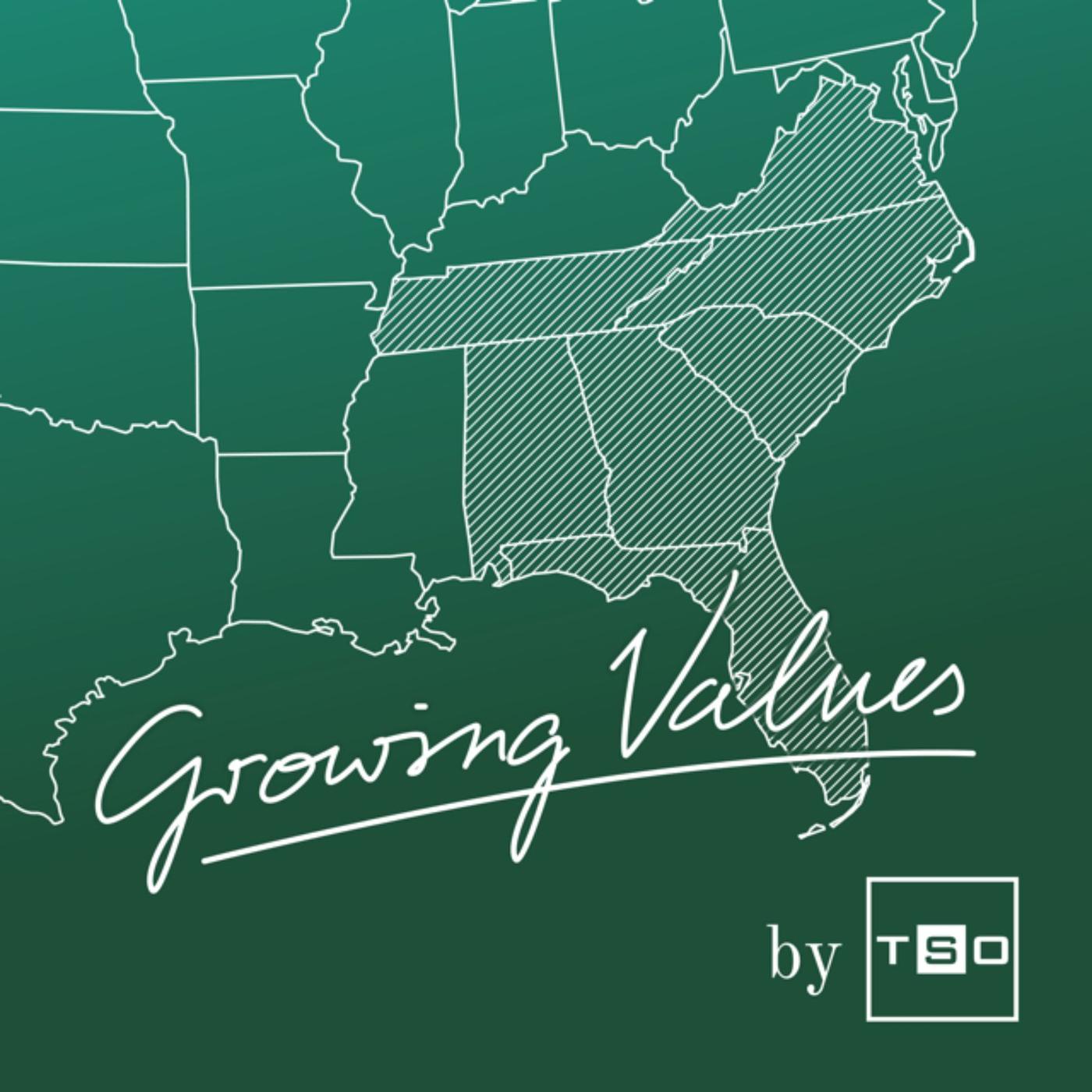 Darum geht es in "Growing Values" - Growing Values (podcast) | Listen Notes