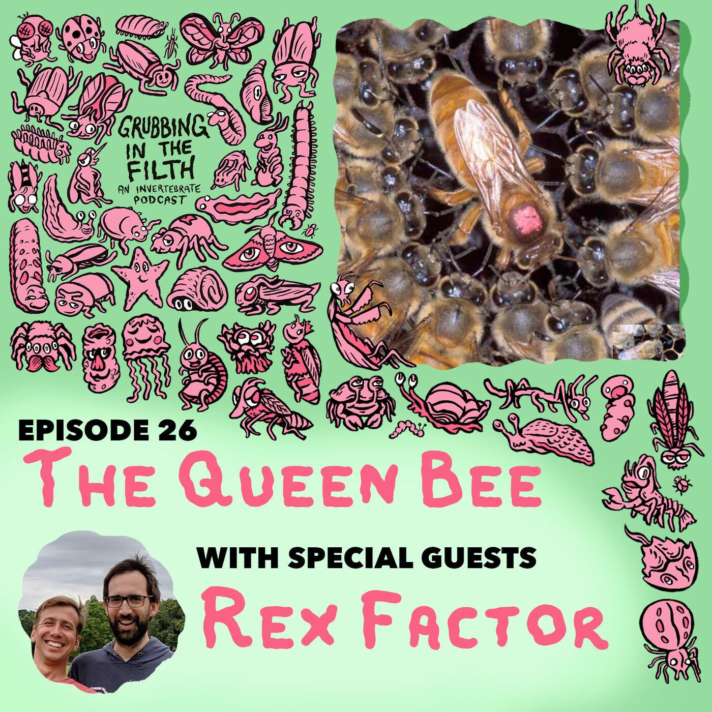 Invertebrate Education with Jack Baker - Grubbing In The Filth: An ...