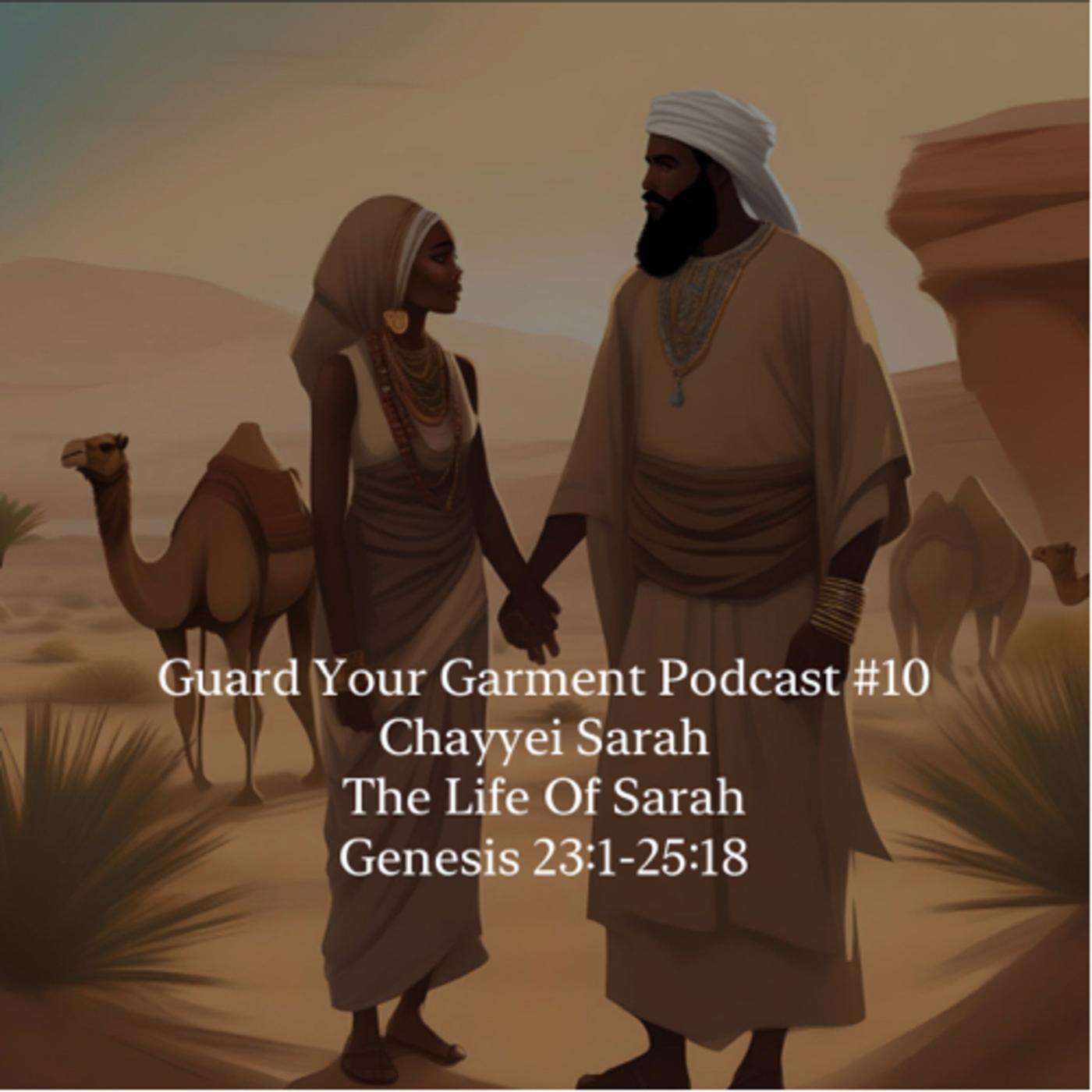 #10 Chayyei Sarah - The Life Of Sarah Genesis 23:1-25:18 Torah Portion ...