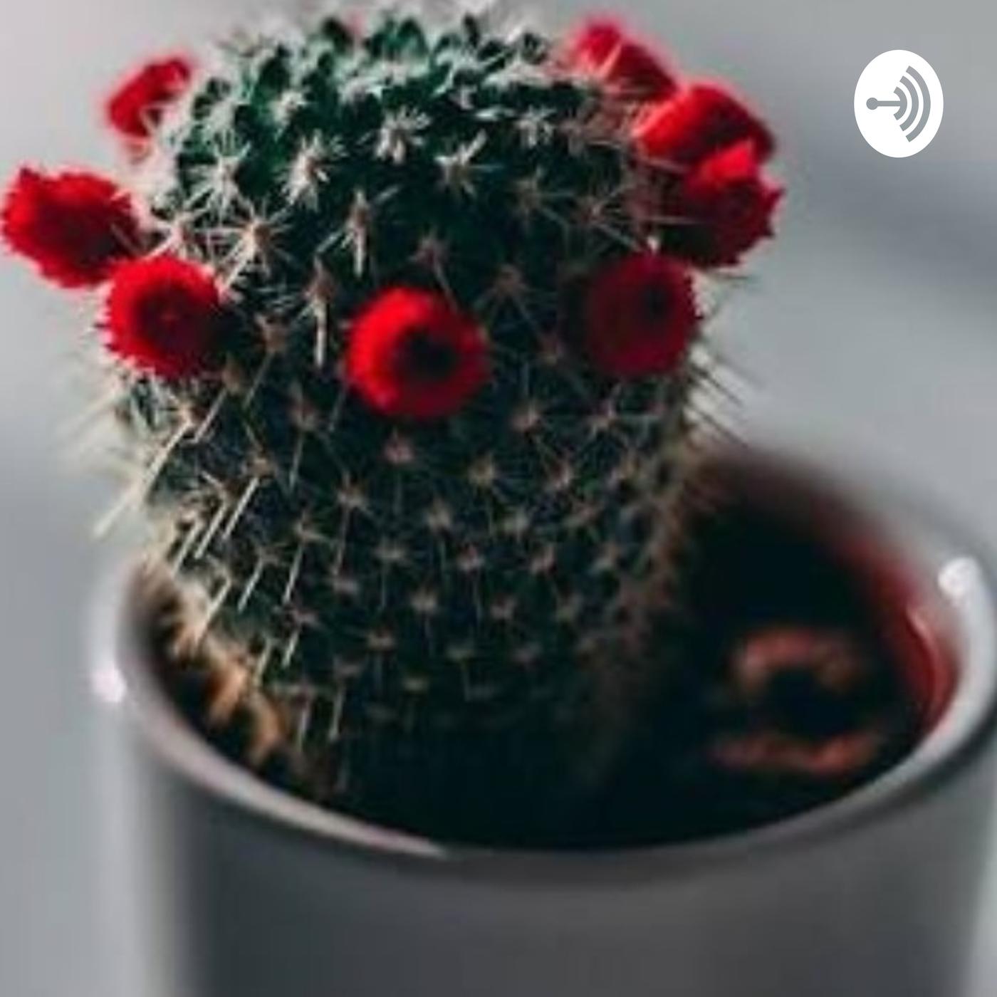 Yuk kenalan yuk - Gul Nasha (podcast) | Listen Notes Yuk kenalan yuk - Gul Nasha (podcast) | Listen Notes