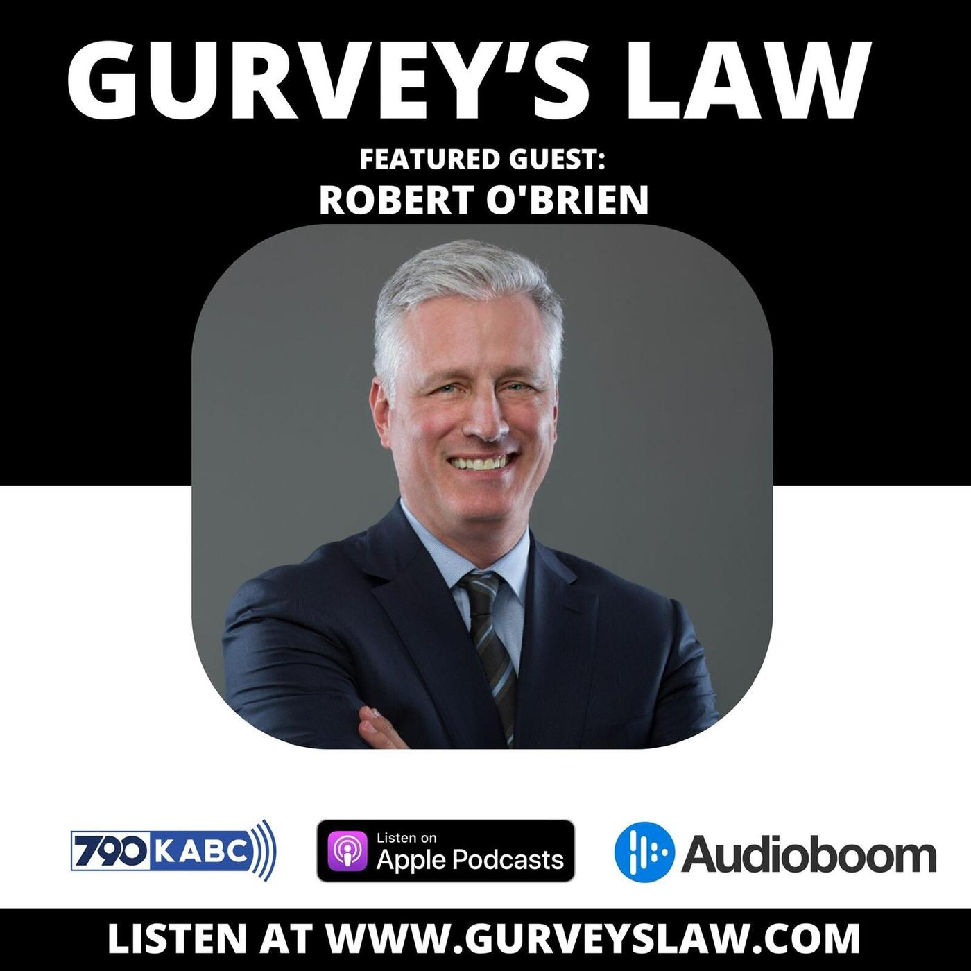 Gurvey's Law with featured guests, women's rights attorney Gloria ...