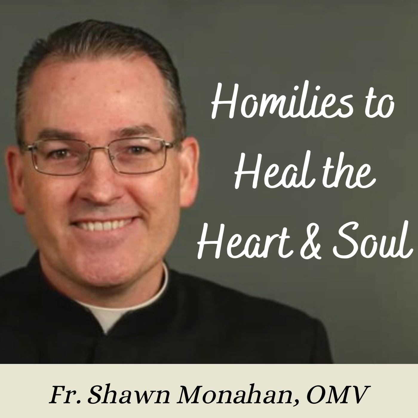 Healing Broken Hearts (podcast) - Fr. Shawn Monahan, OMV | Listen Notes