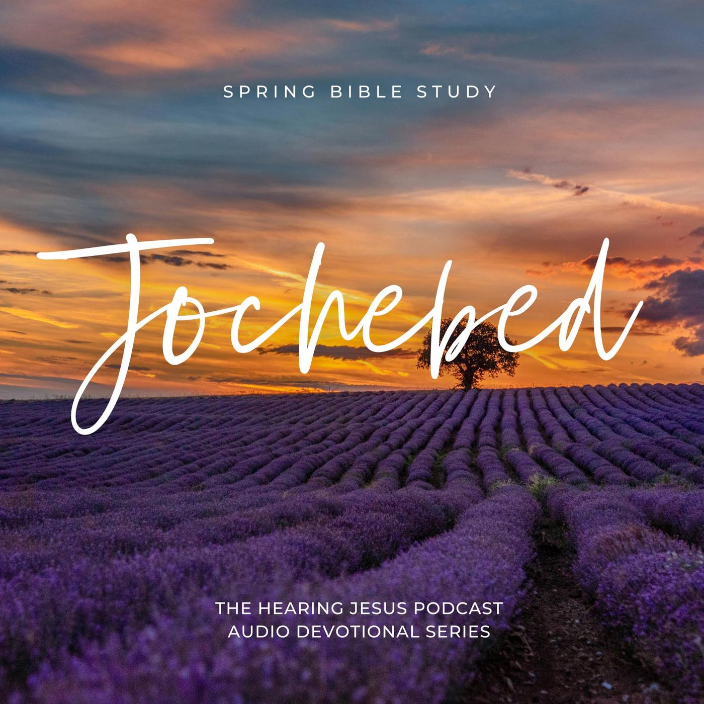 Who Is First and Who Is Last In God’s Kingdom? Devotional, Bible Study ...