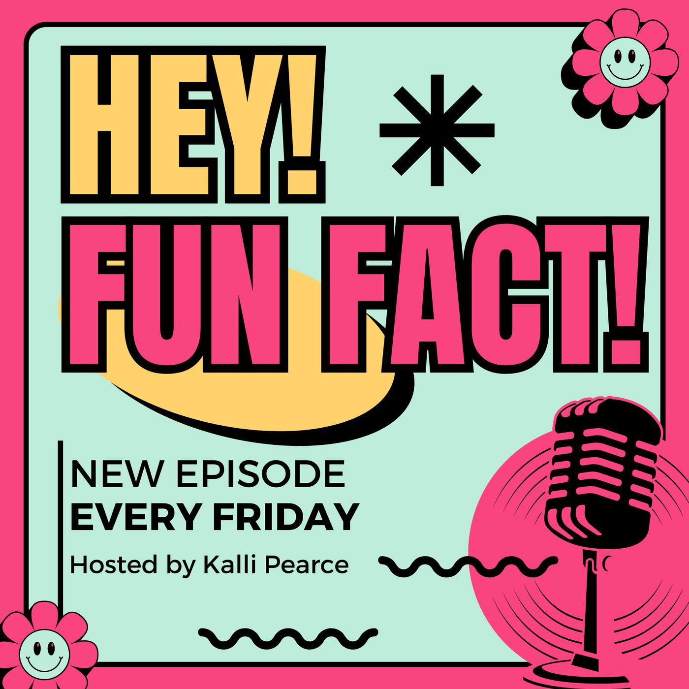 Thrills and Chills: Fun Facts About Amusement Parks | Listen Notes