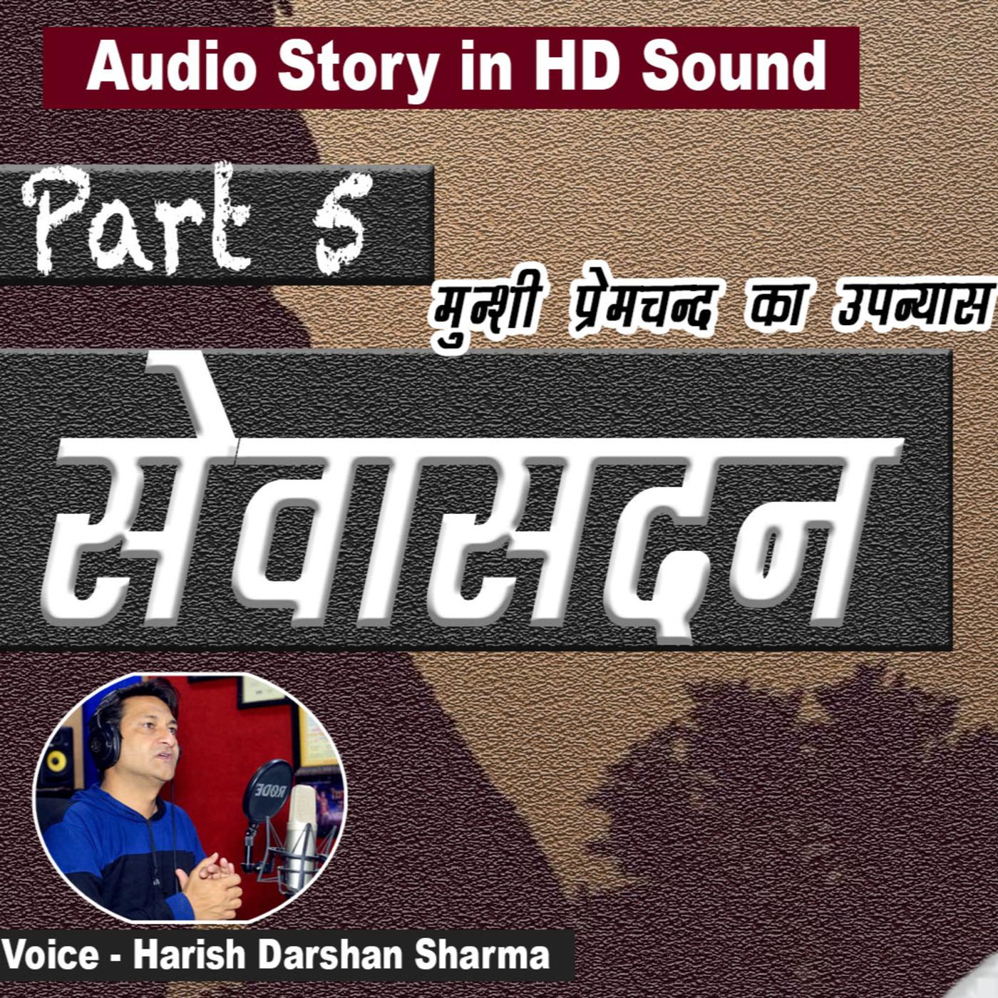 Seva Sadan | Part 7 | ( Munshi PremChand's Novel ) - Hindi Stories ...