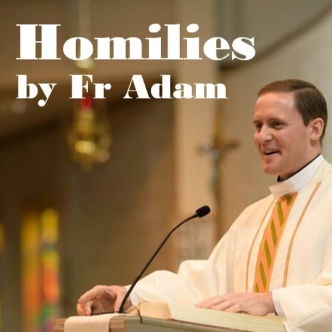 Homilies by Fr Adam (podcast) - Adam Zettel LC | Listen Notes